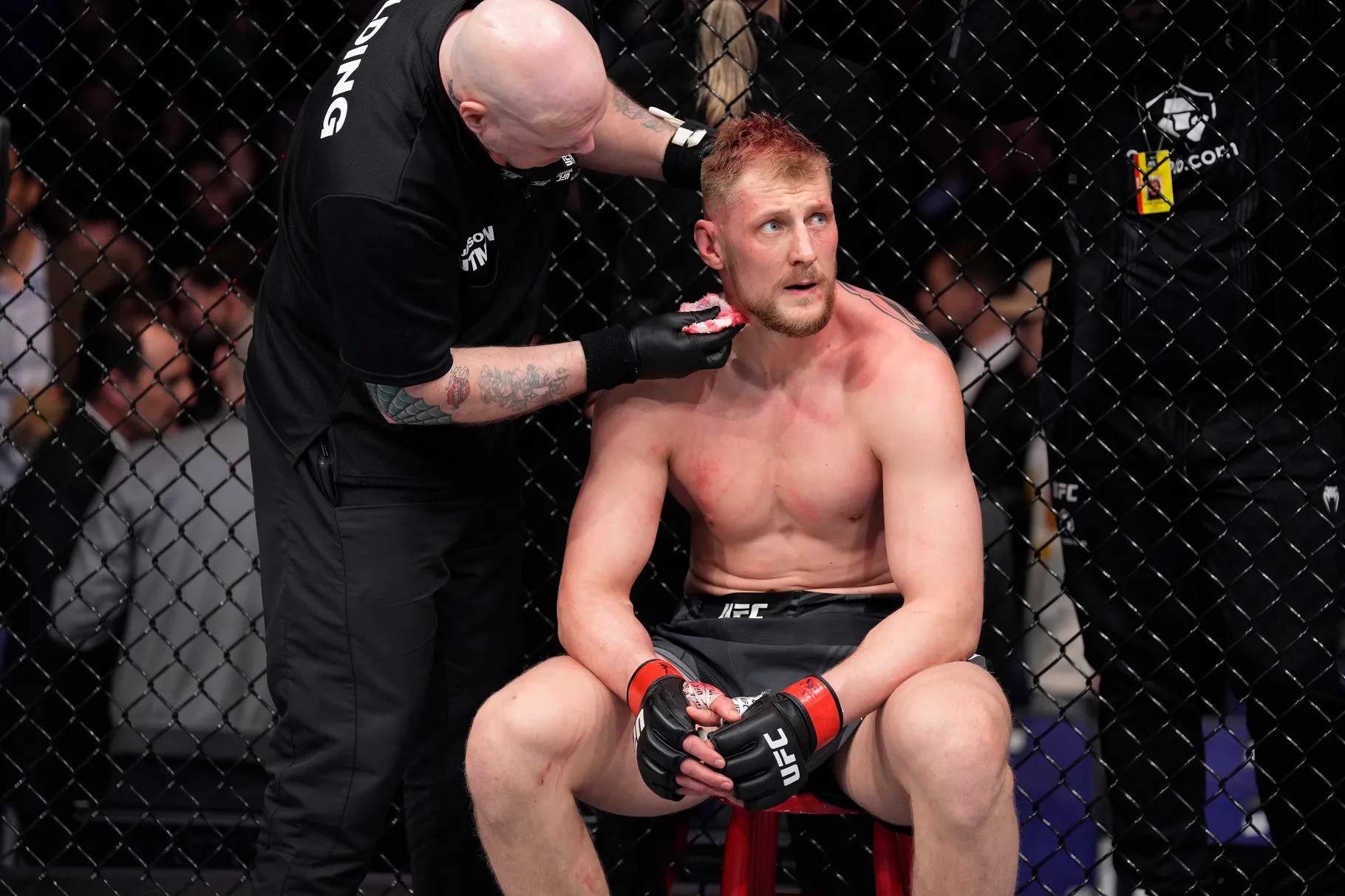 Old UFC Fighters Still Crushing It – Age Means Nothing in the Cage!